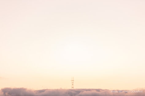JJ & JC | Hangar 1 Alameda Wedding - Anna Wu Photography