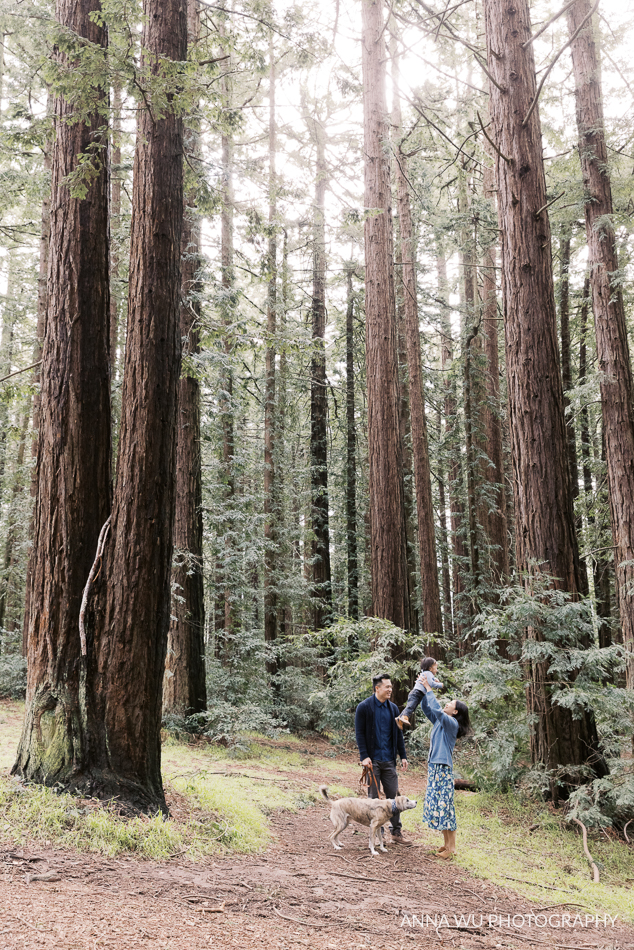 Yen Family | Oakland Redwoods Family Session - Anna Wu Photography