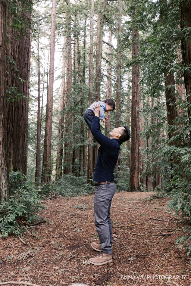 Yen Family | Oakland Redwoods Family Session - Anna Wu Photography